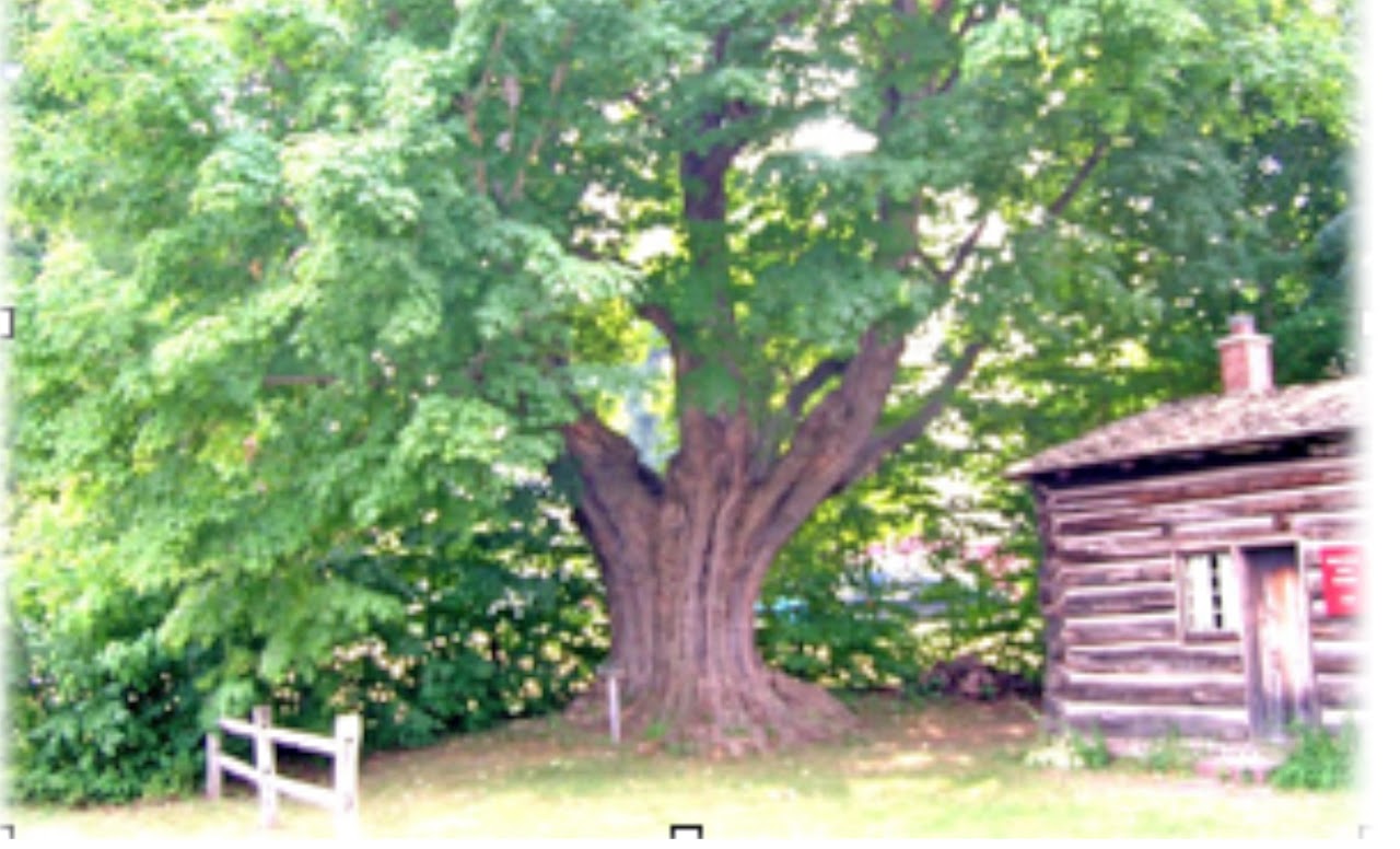 Heritage Square Museum